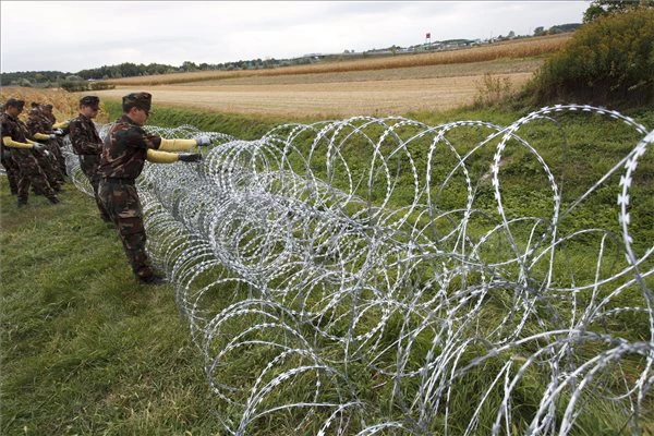Concertina Razor Wire GALLERY