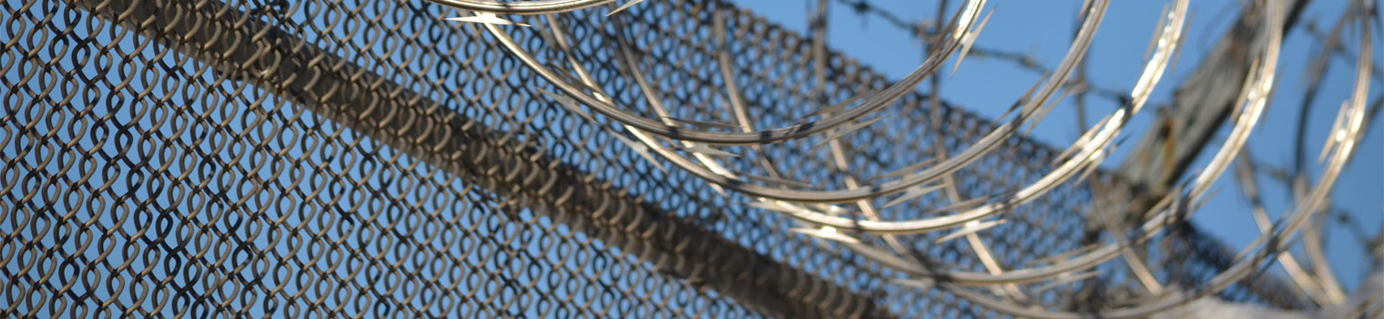 Concertina Razor Wire of Linkland™